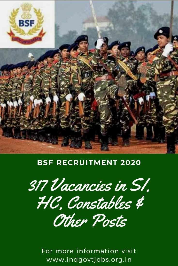 BSF Recruitment 2019 – Apply Online for 317 SI, HC, Constable ...