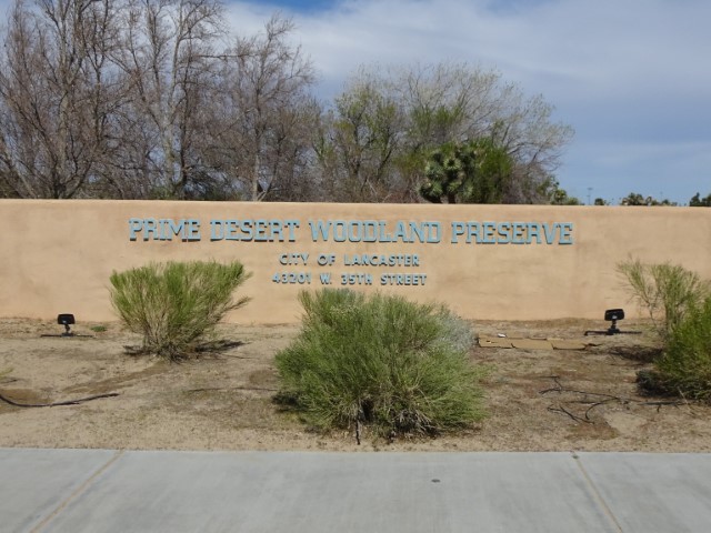 Walkabout With Wheels Blog: Visiting Prime Desert Woodland Preserve in ...