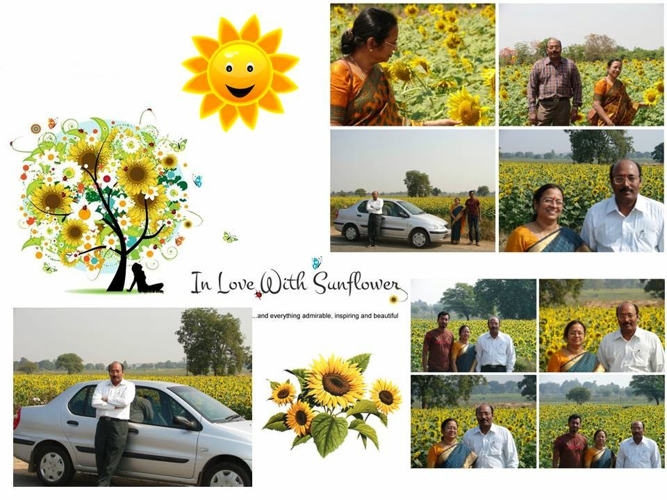 Raghu's column!: In love with Sunflower and Sunflower quotes and sayings!