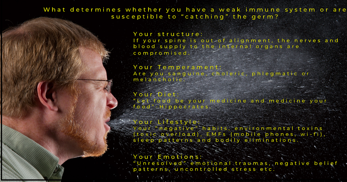 Klein Paradijs: Pasteur vs Bechamp - A different light on the current ...