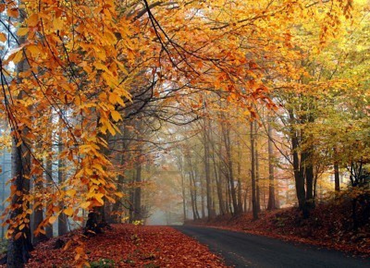 purpura: LOS COLORES DEL OTOÑO