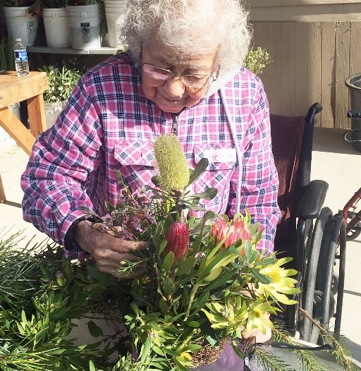 A Passion for Flowers: 2017