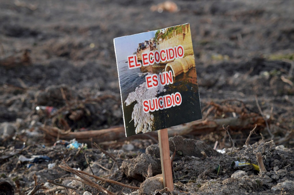 Ecocidio o la destrucción sistemática de la vida