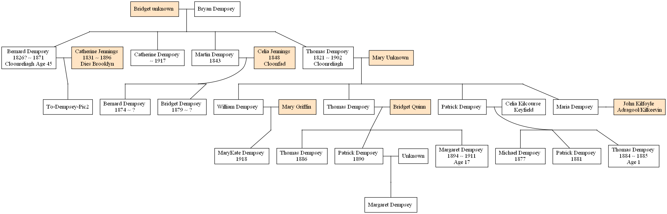 O'Grady Family: family tree