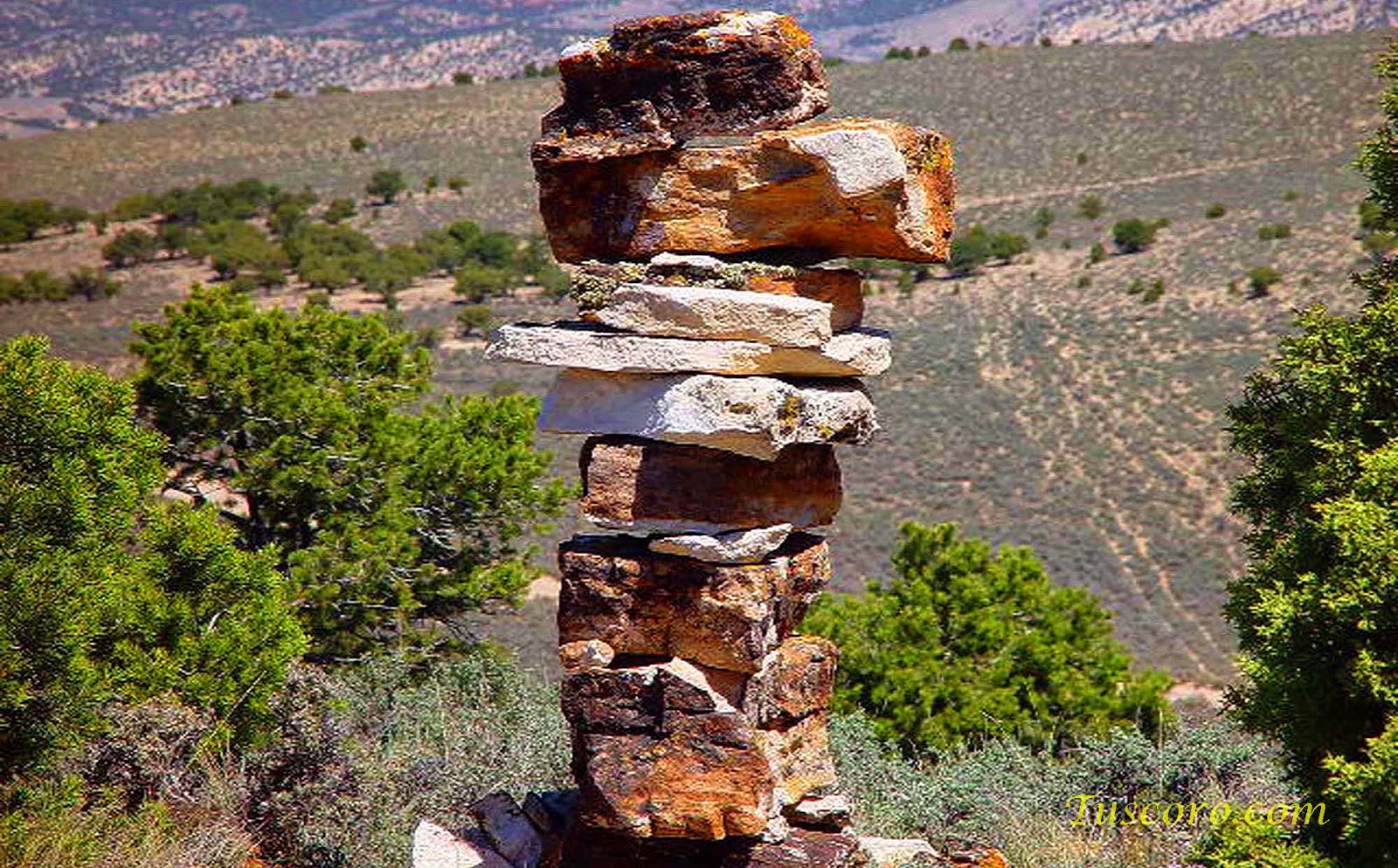 Tuscoro: Destruction of the Aurora Monuments, Documentation Project.