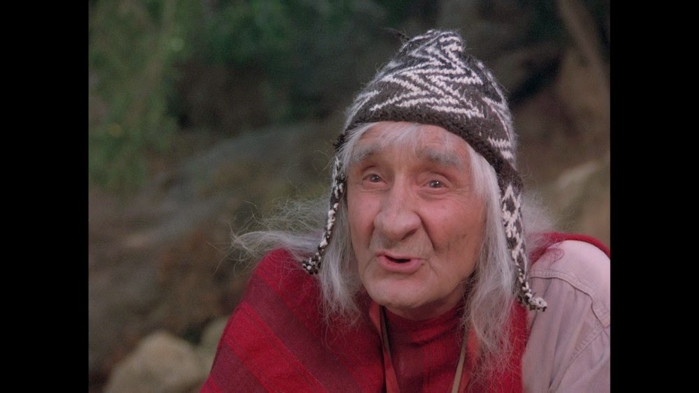 kocham dziwne kino: Devil Dog: The Hound Of Hell (1978)