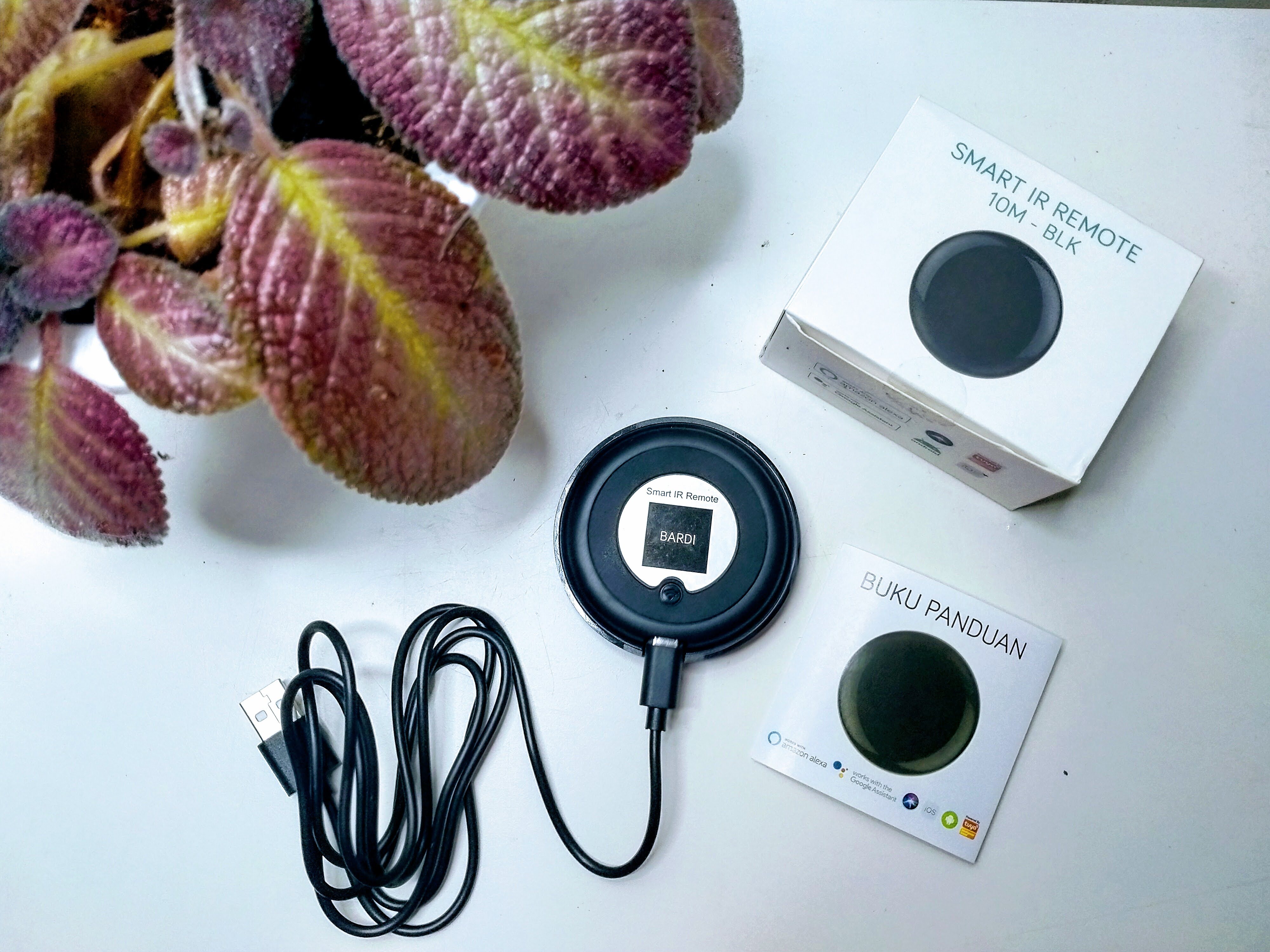 Teknologi Rumah Pintar dengan BARDI Smart Home - The Daily Rella