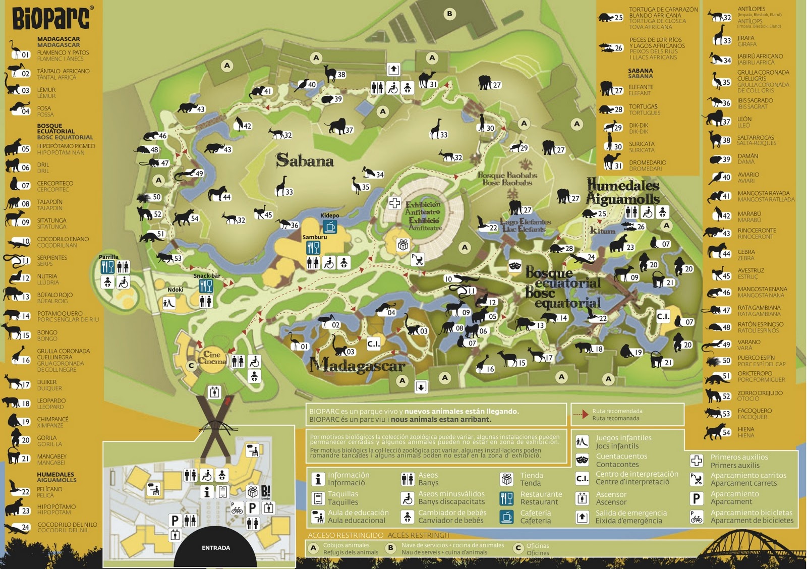 Bienvenue Voyageur : Bioparc, Valencia