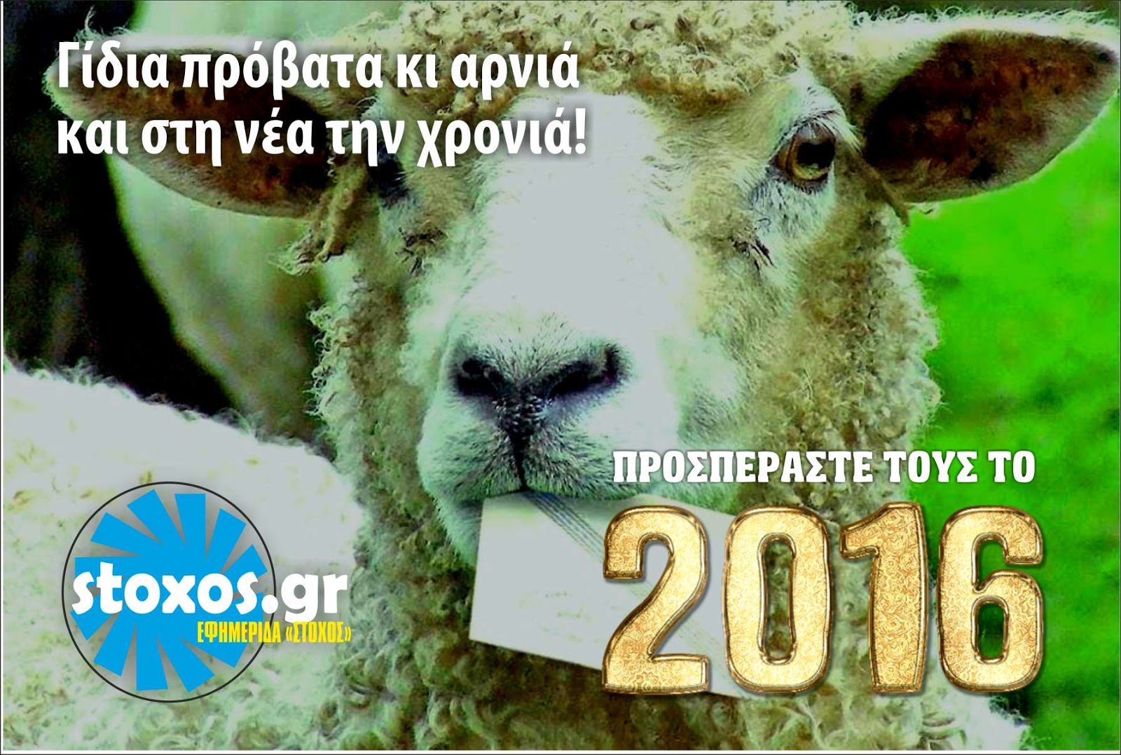 «ΑΝΑΣΤΑΣΗ ΜΟΓΓΟΛΟΙ ΘΑ ΚΑΝΟΥΜΕ ΣΤΗΝ ΠΟΛΗ»... ΚΑΙ... «ΓΙΔΙΑ ΠΡΟΒΑΤΑ ΚΙ ...