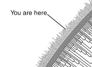 cryptonaut-in-exile: Tree of Life infographic