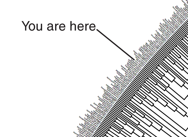 cryptonaut-in-exile: Tree of Life infographic