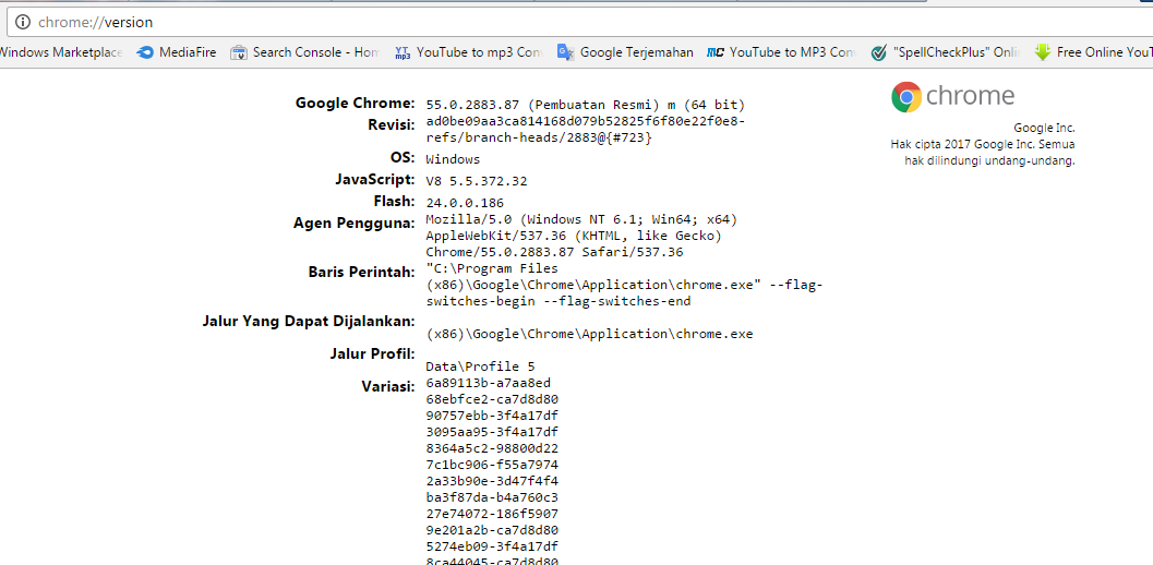 How To Check The Version of Your Chrome Browser