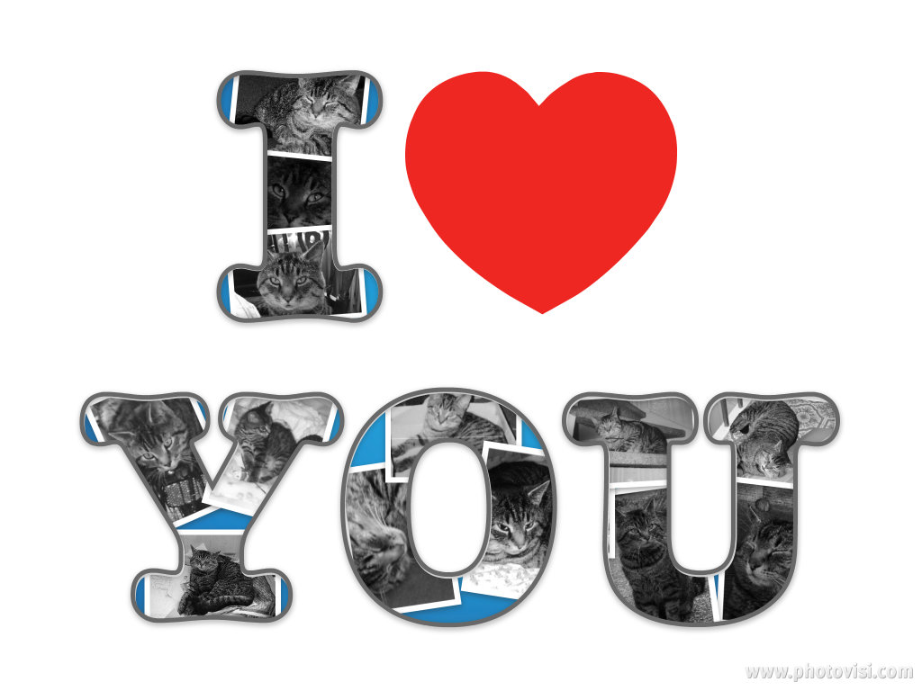 Welkom op Loekje 19: Loekie 8 juni 2002- 19 oktober 2007