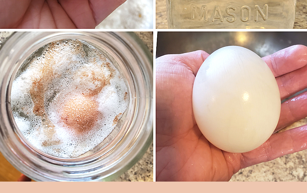 The Naked Egg Experiment
