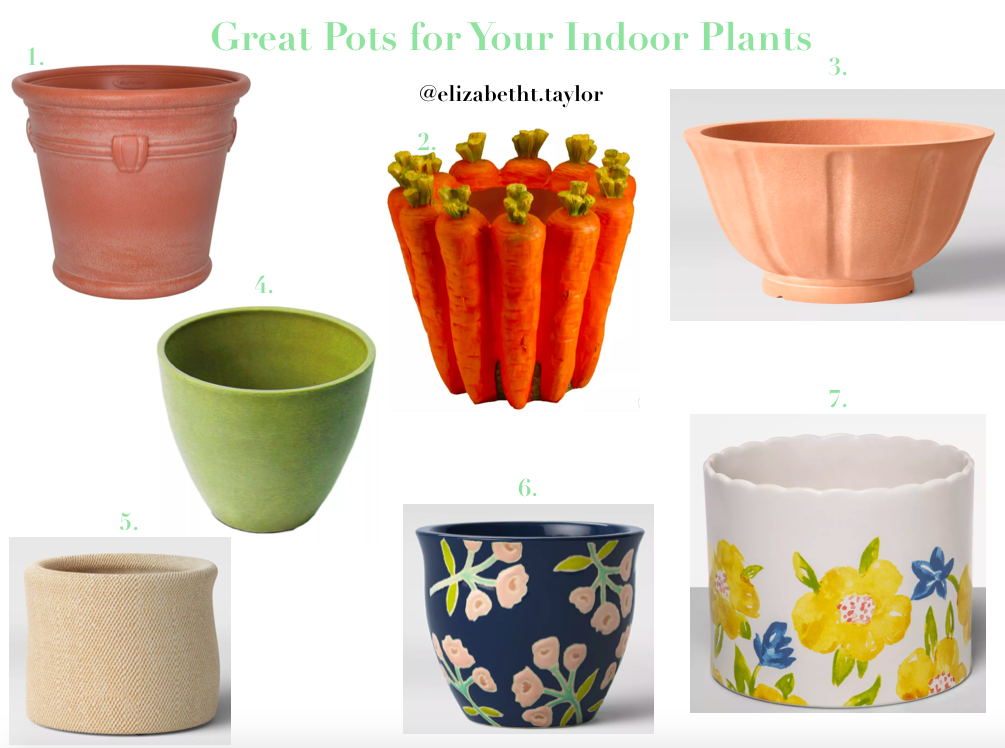 Target Flower Pots for Indoor Plants