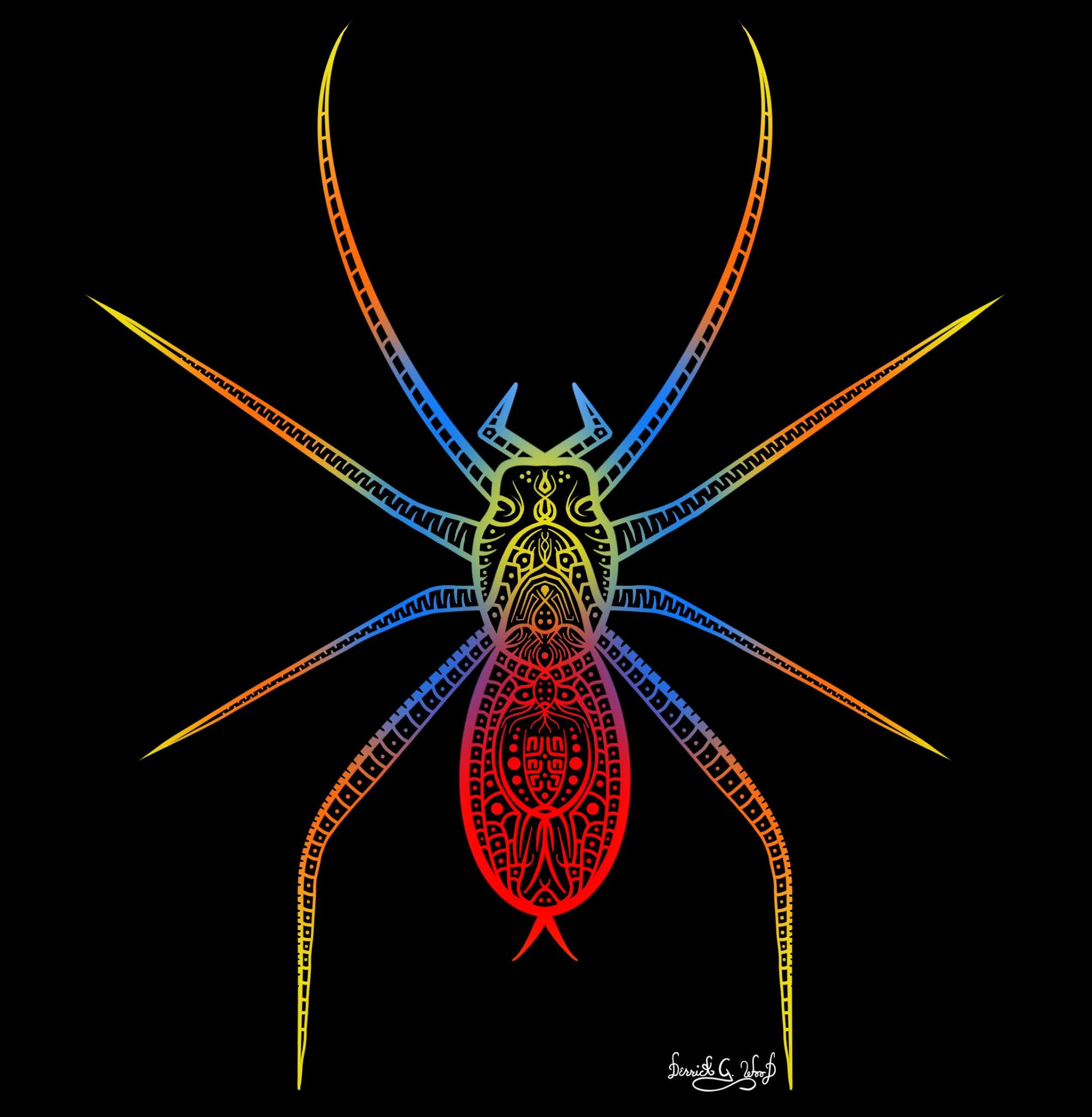 Derrick G Wood: A Beautiful Rainbow Spider Drawing