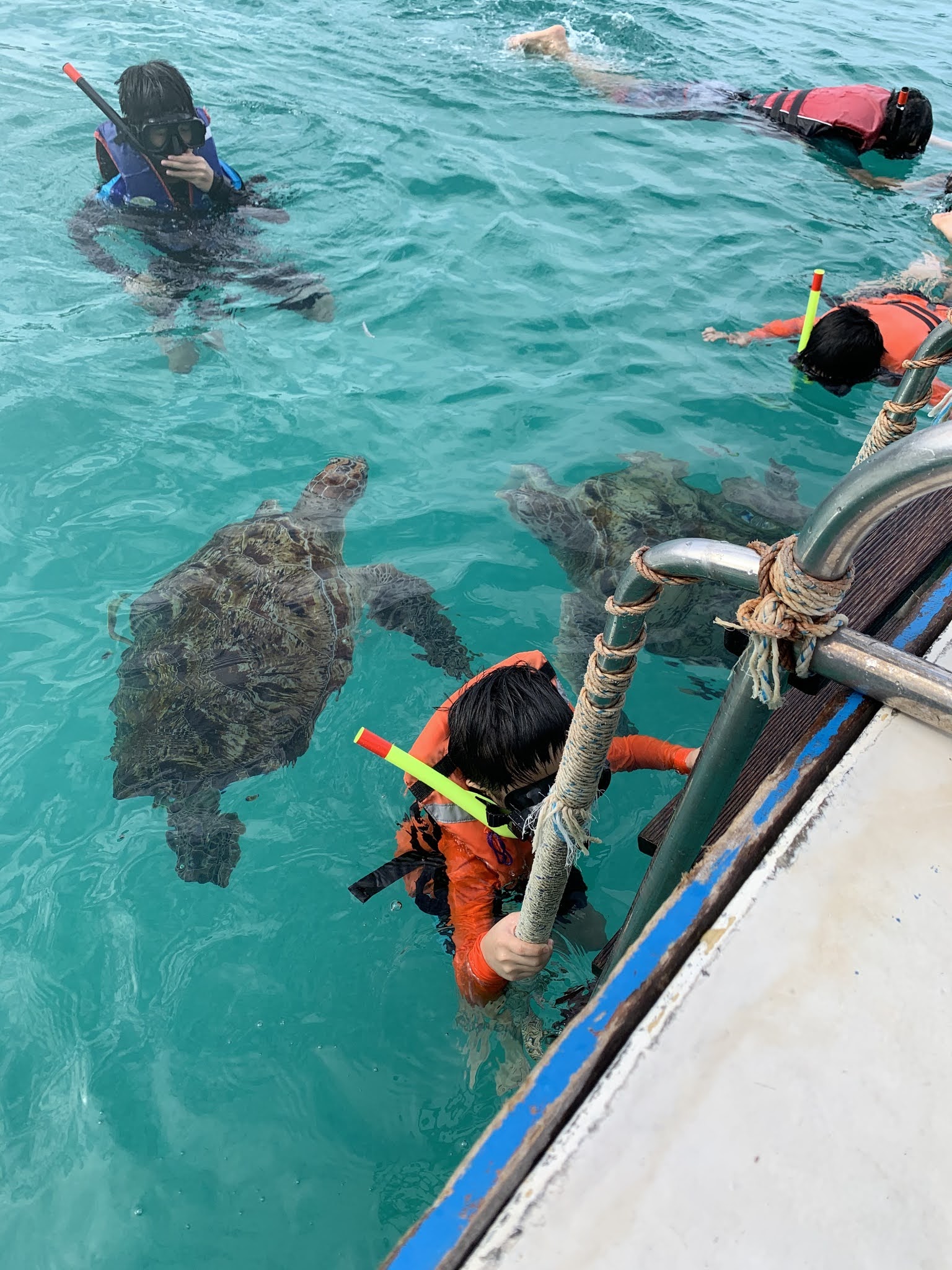 LIM Yu-Book : Redang Island