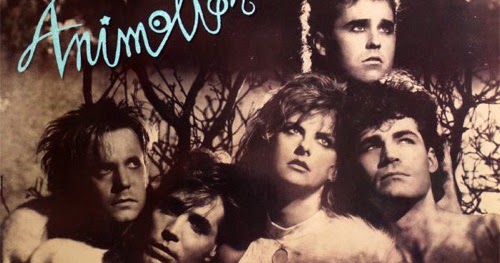 La Bible de la Westcoast Music - Cool Night -: Animotion "Strange ...