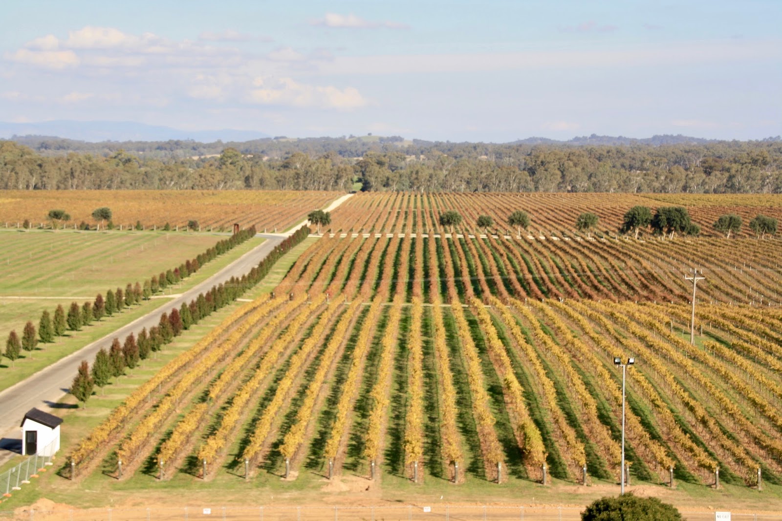 RDO Melbourne: Mitchelton Wines, Nagambie