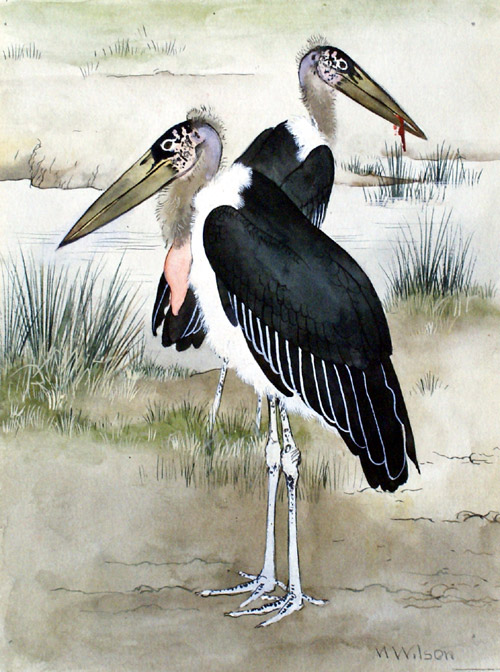 Illustration Art Gallery: Maurice Wilson