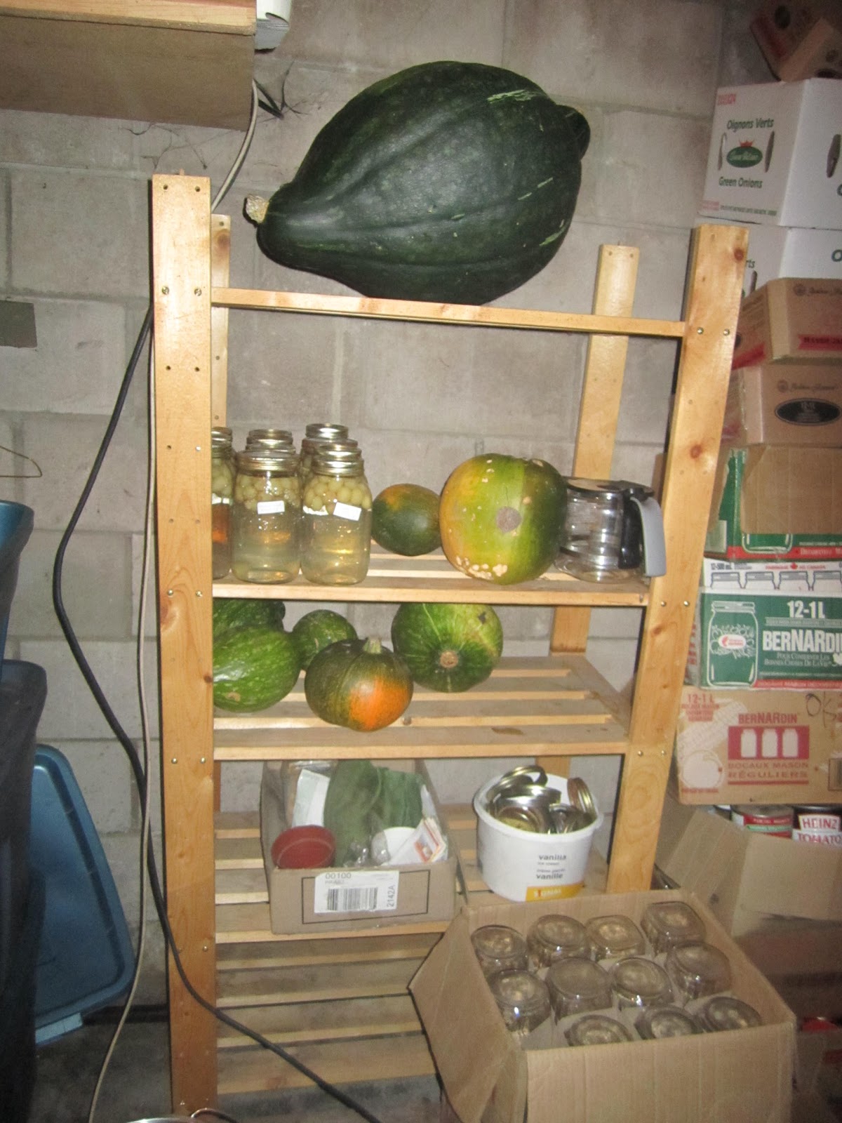 Little House in the Big Wood: Fall Food Storage- Cold Room