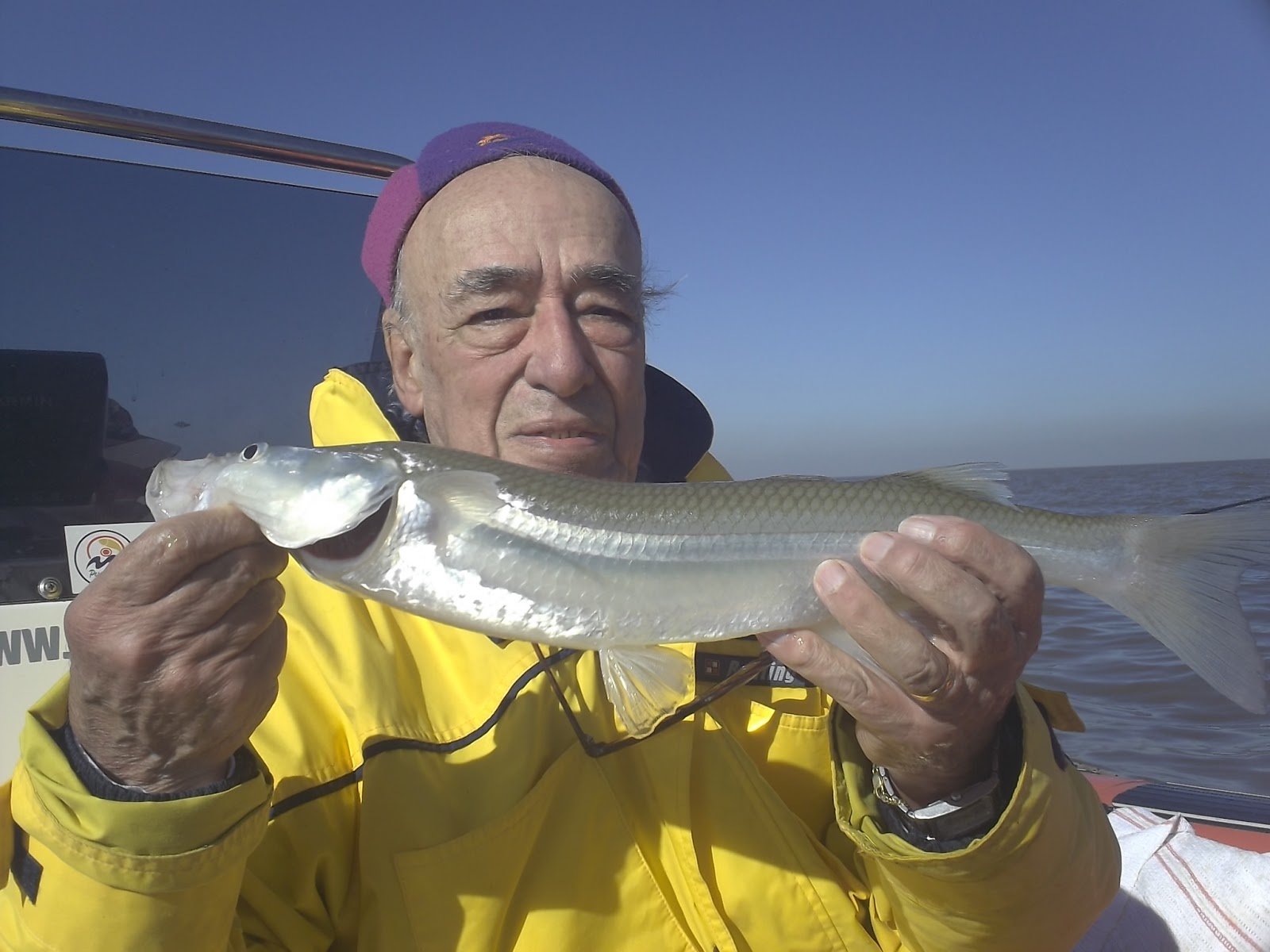 Pesca en el Río de la Plata: Matungos del Río de la Plata!