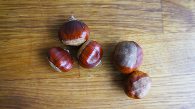 Forskellen på hestekastanjer og spisekastanjer - en lille billedguide