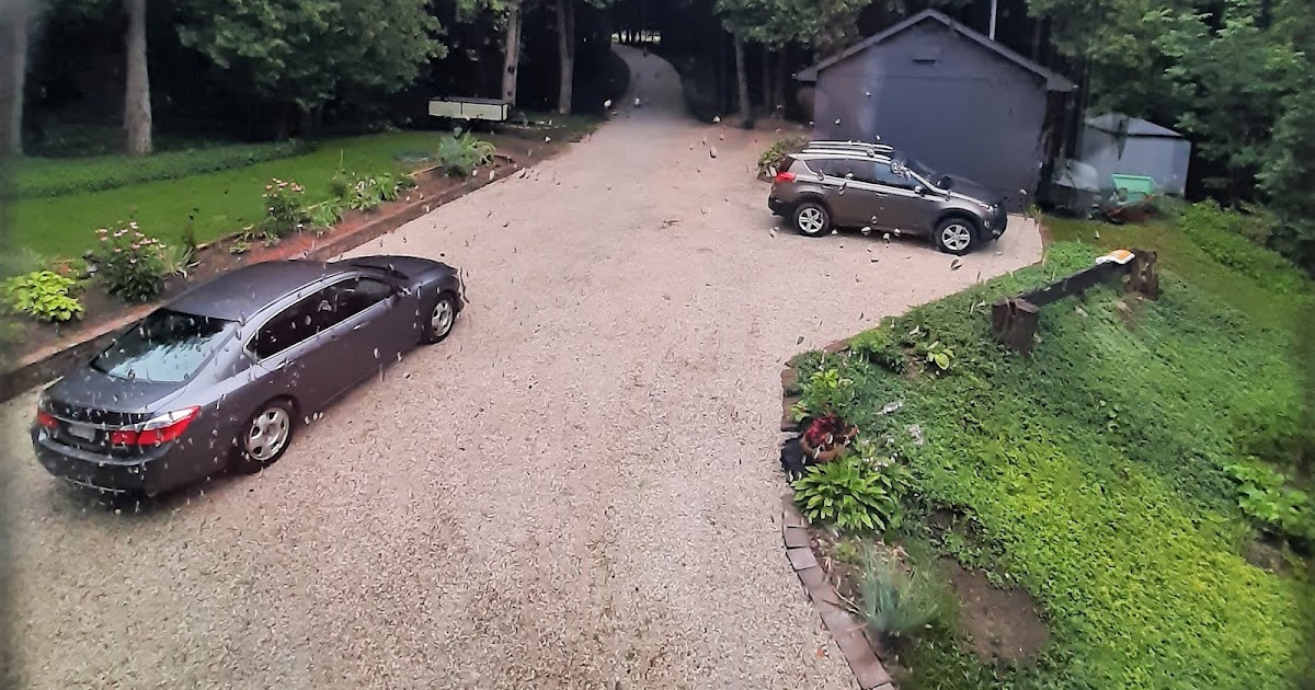 Chillin' with Patsy: Day Three, Farm Tour, Mixed Media Class