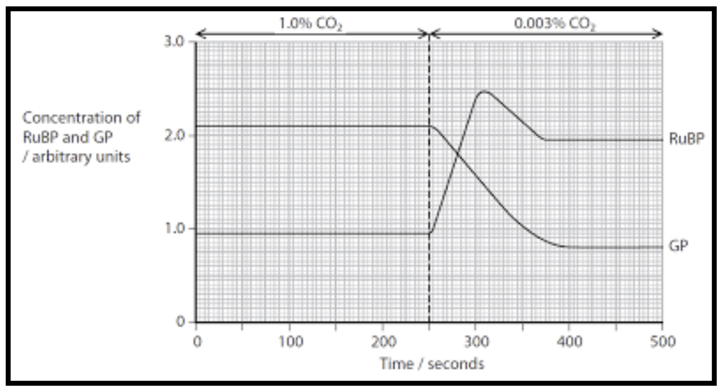 A LEVEL: Biology (F214), Photosynthesis