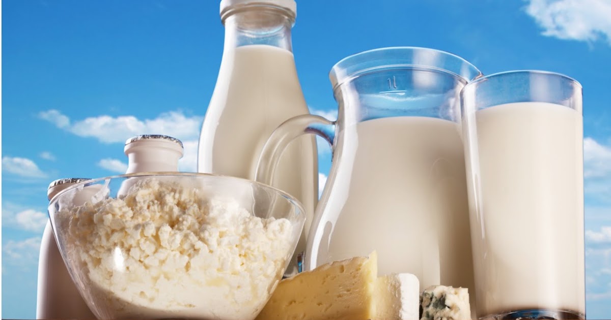 SAÚDE, NUTRIÇÃO, DICAS E CURIOSIDADES: OS LACTICÍNIOS E O CALCIO