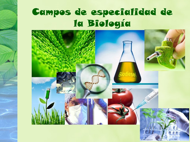 Bloque I. Reconoces a la Biología como ciencia de la vida