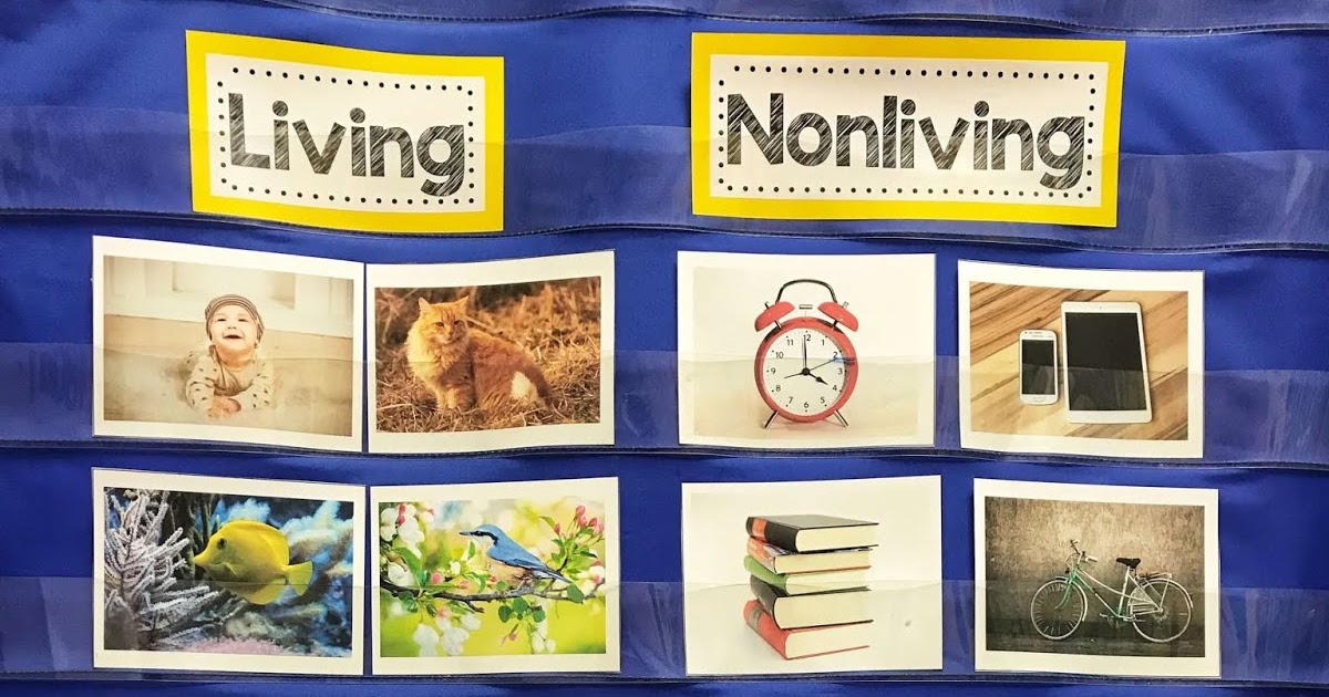 Living & Nonliving | Just Teachy