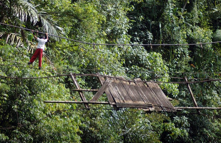 Extreme Bridge Photos - all about photo