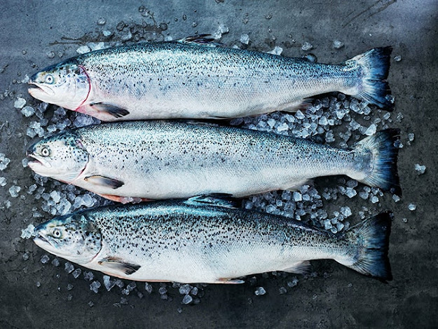 Celebrating 50 years of Norwegian Salmon