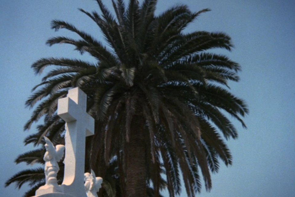 Five-O Revisited: Hookman