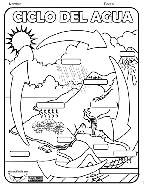 Fichas de Primaria: Ficha del ciclo del agua