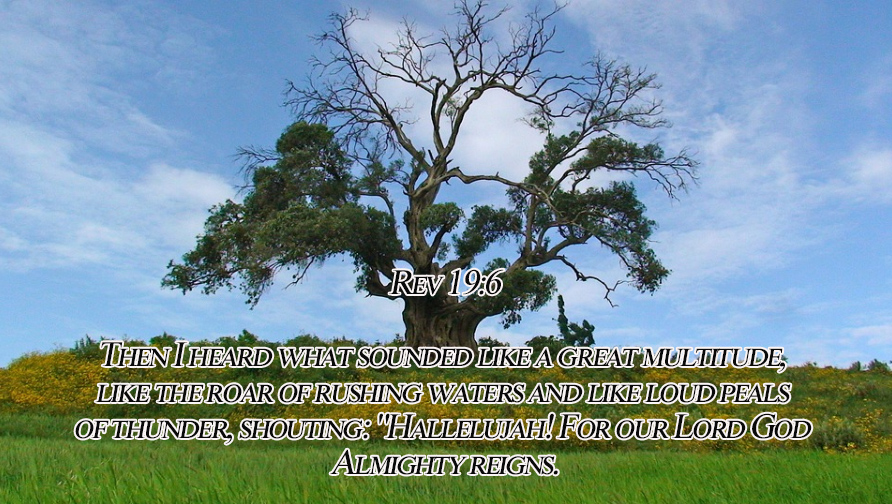 True Identities of the Tree of Life and the Tree of the Knowledge of ...