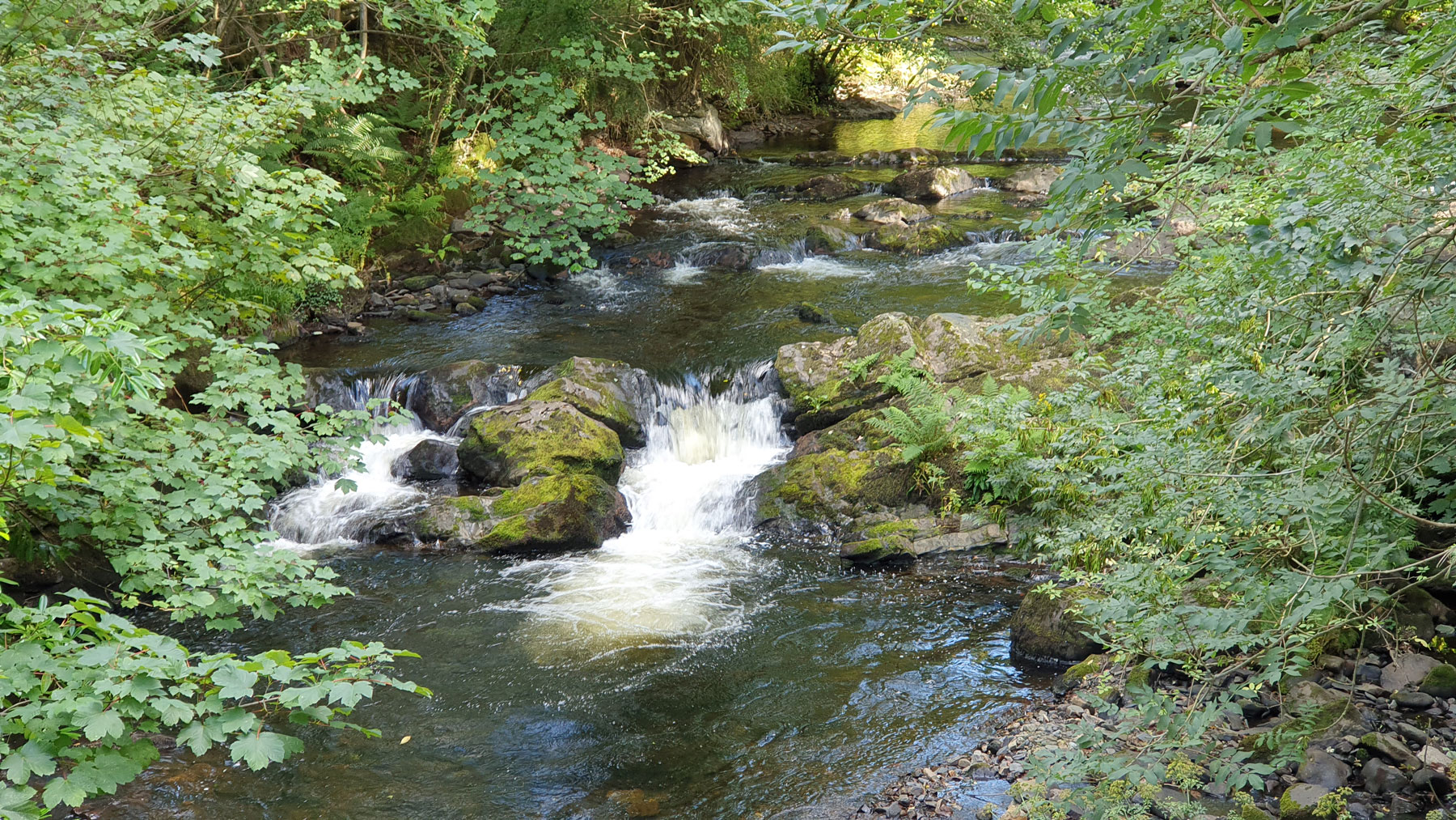 Away From Four Marks: 1st August - Meeth Quarry Reserve, Devon