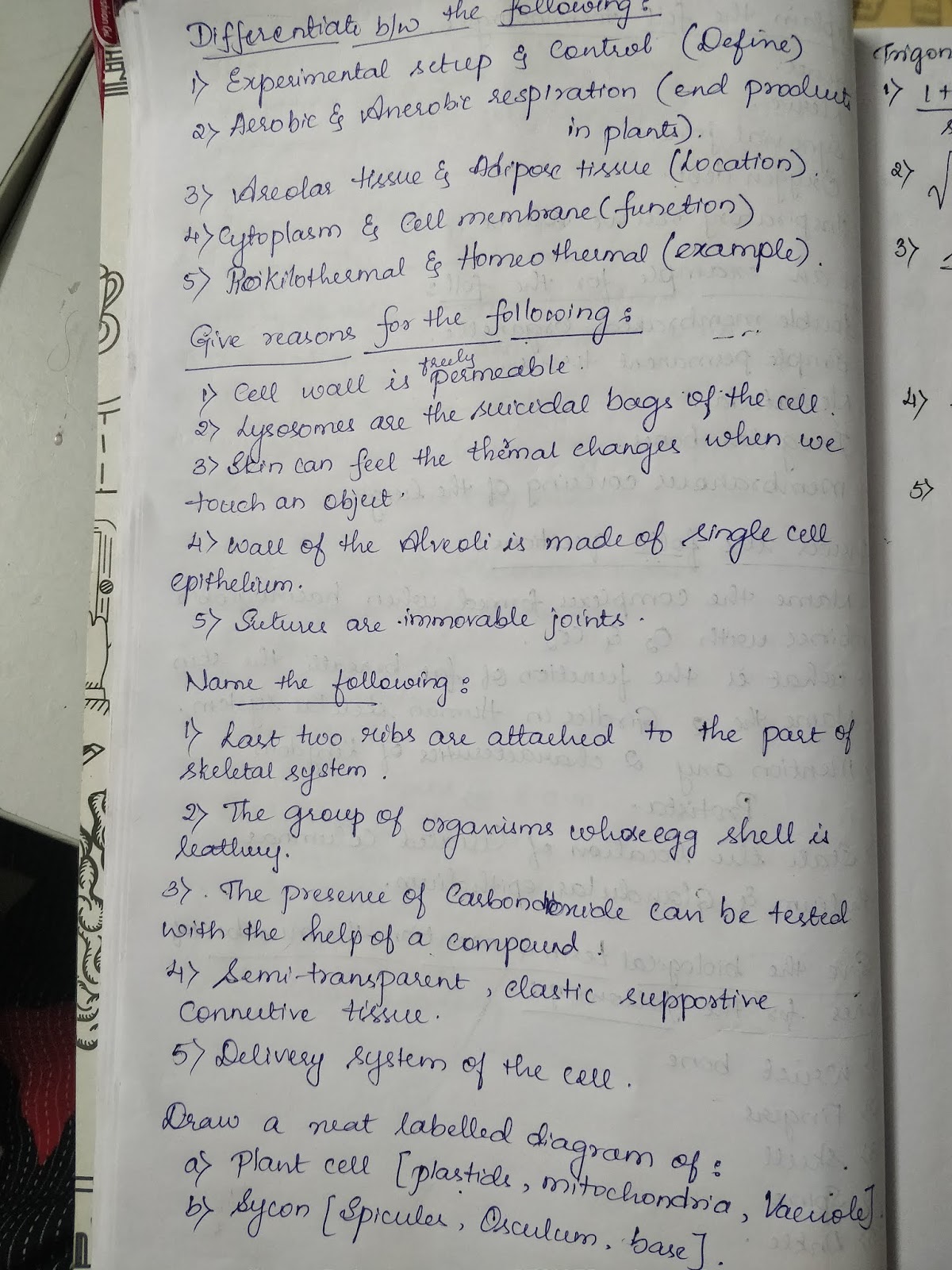 Class 9 revision 2019 bio