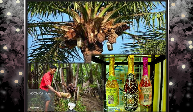 The Secrets of Butuan City: In the beginning there was no Philippines ...