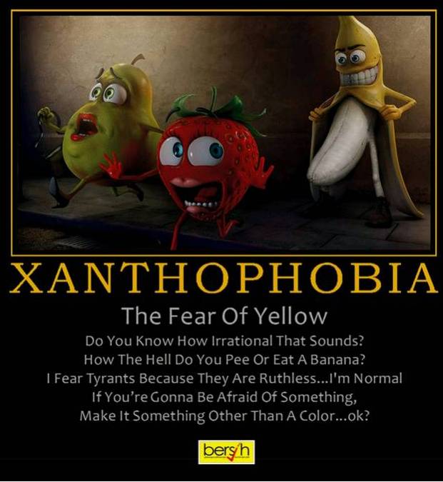 susuyon.com: XANTHOPHOBIA