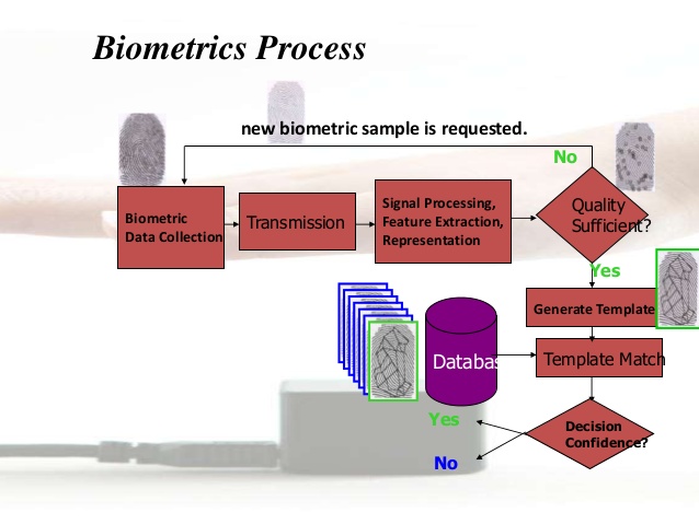 Vein Identification - SHIVAM RAVAL