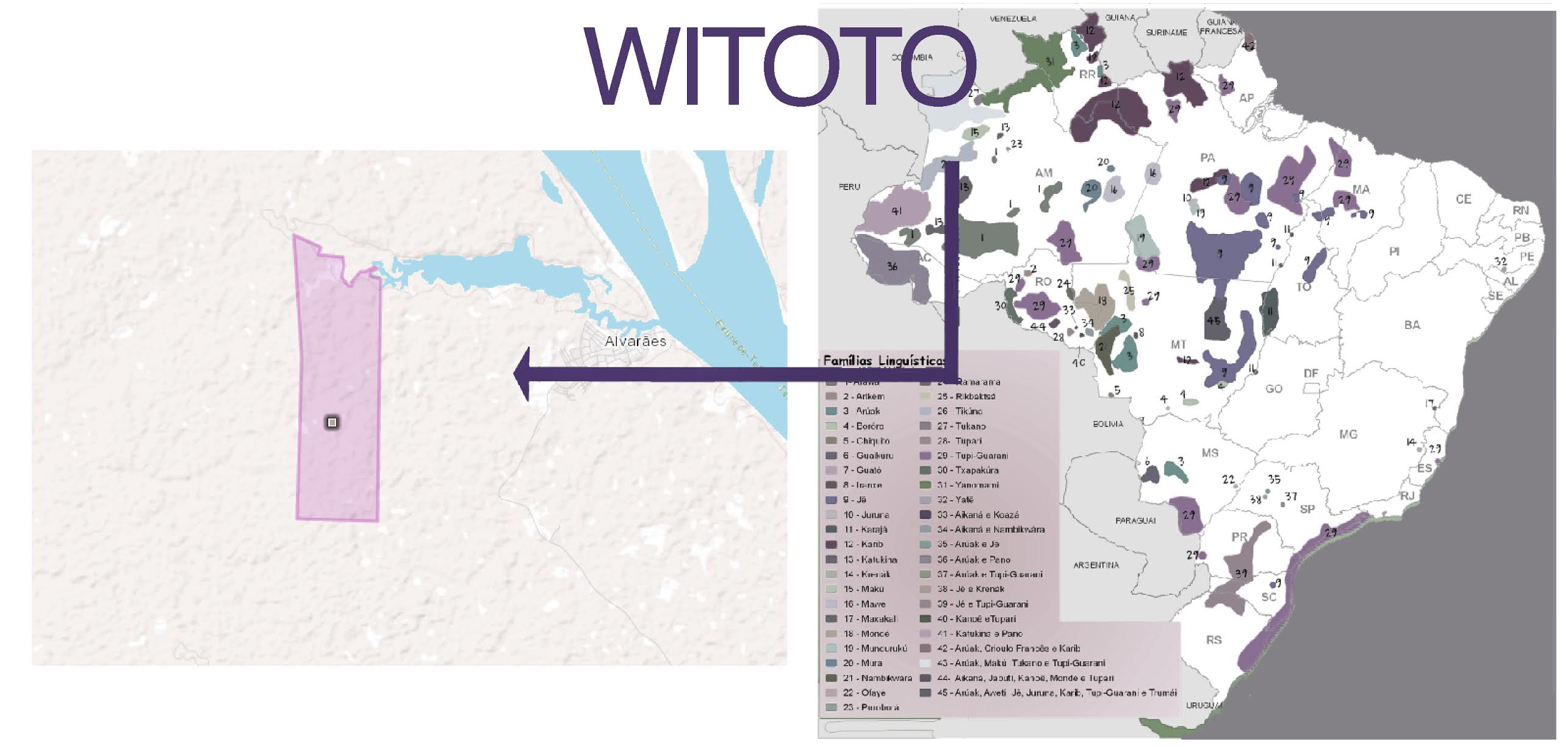 Povos Indígenas Brasileiros: 2020