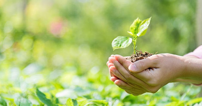 ¿ Qué es eco-saludable y cómo aplicarlo en nuestra vida cotidiana?