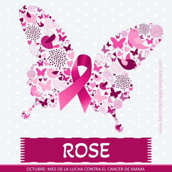 Banco de Imágenes Gratis: Mariposas con moño color rosa magenta y ...