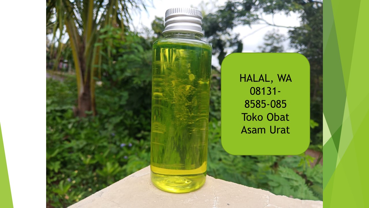 TERMANJUR, WA 08131-8585-085 Jual Obat Asam Urat: HALAL, WA 08131-8585 ...