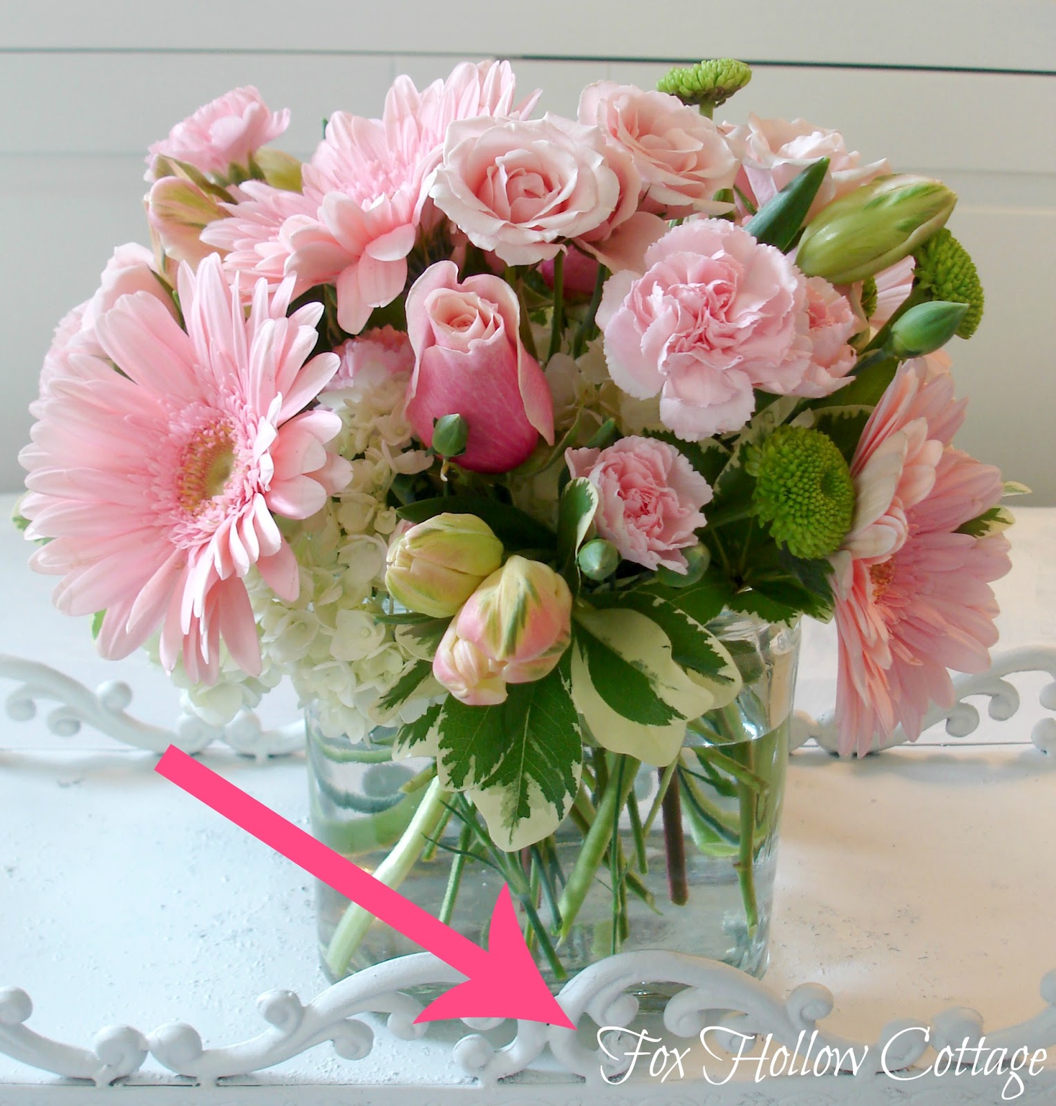 How To Watermark Photographs Using Picmonkey - Fox Hollow Cottage