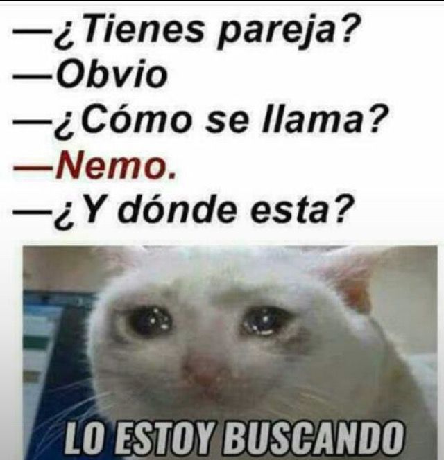 El tio bugs sv: Colección de memes sad