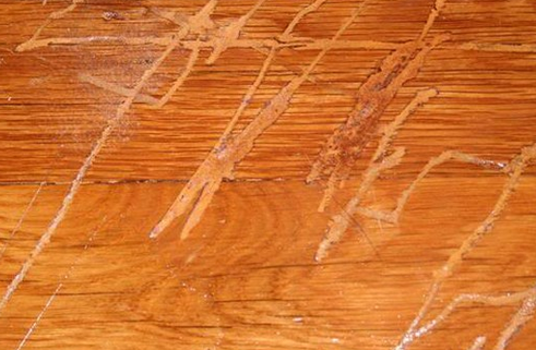 How to repair scratched furniture - Cook It Quick