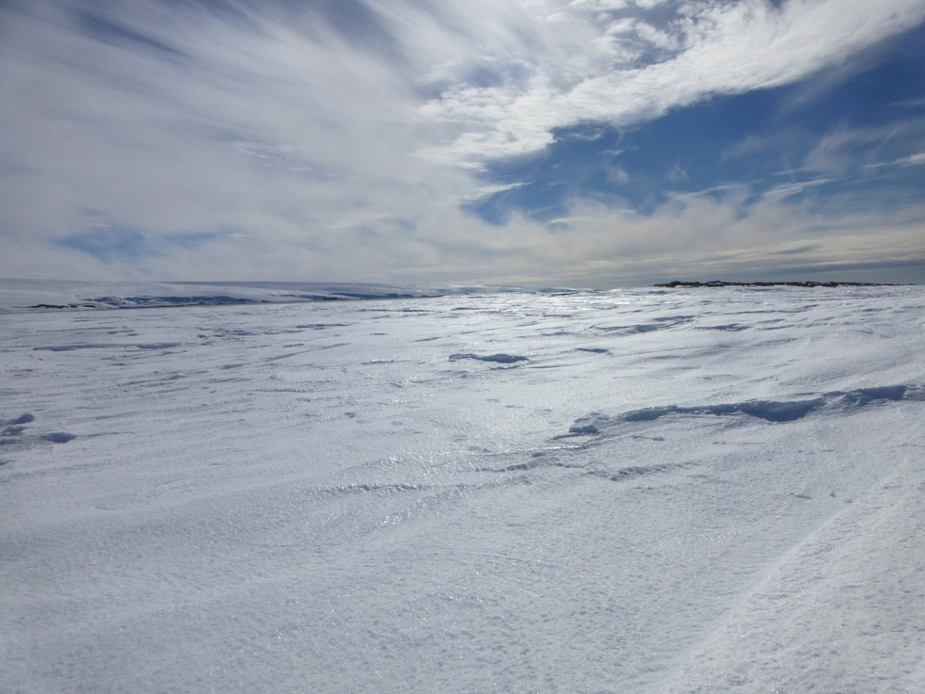 Aventure au bout du monde: La banquise